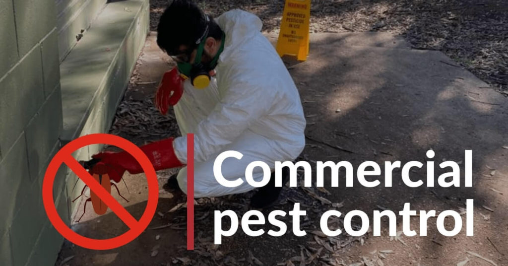 Melbourne Pest Control | True Pest Prevention & Solution