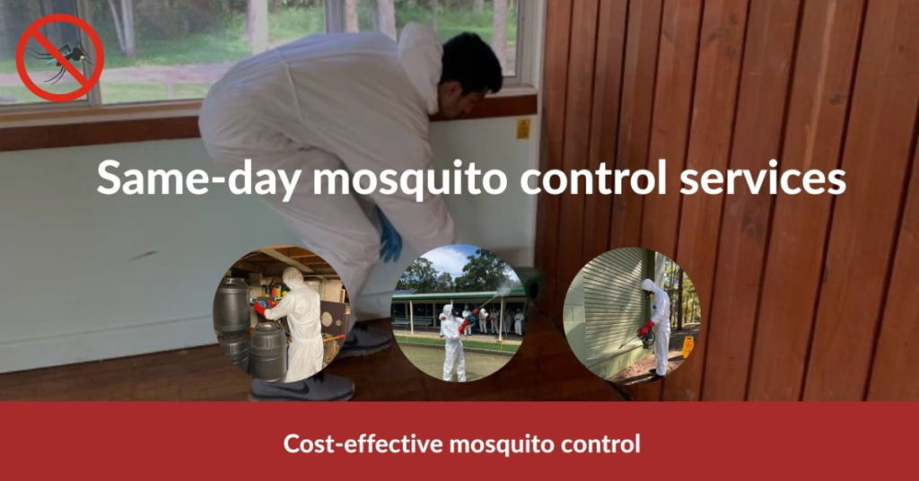 Mosquito Control Brisbane - 0480 022 718 - Emergency Residential ...